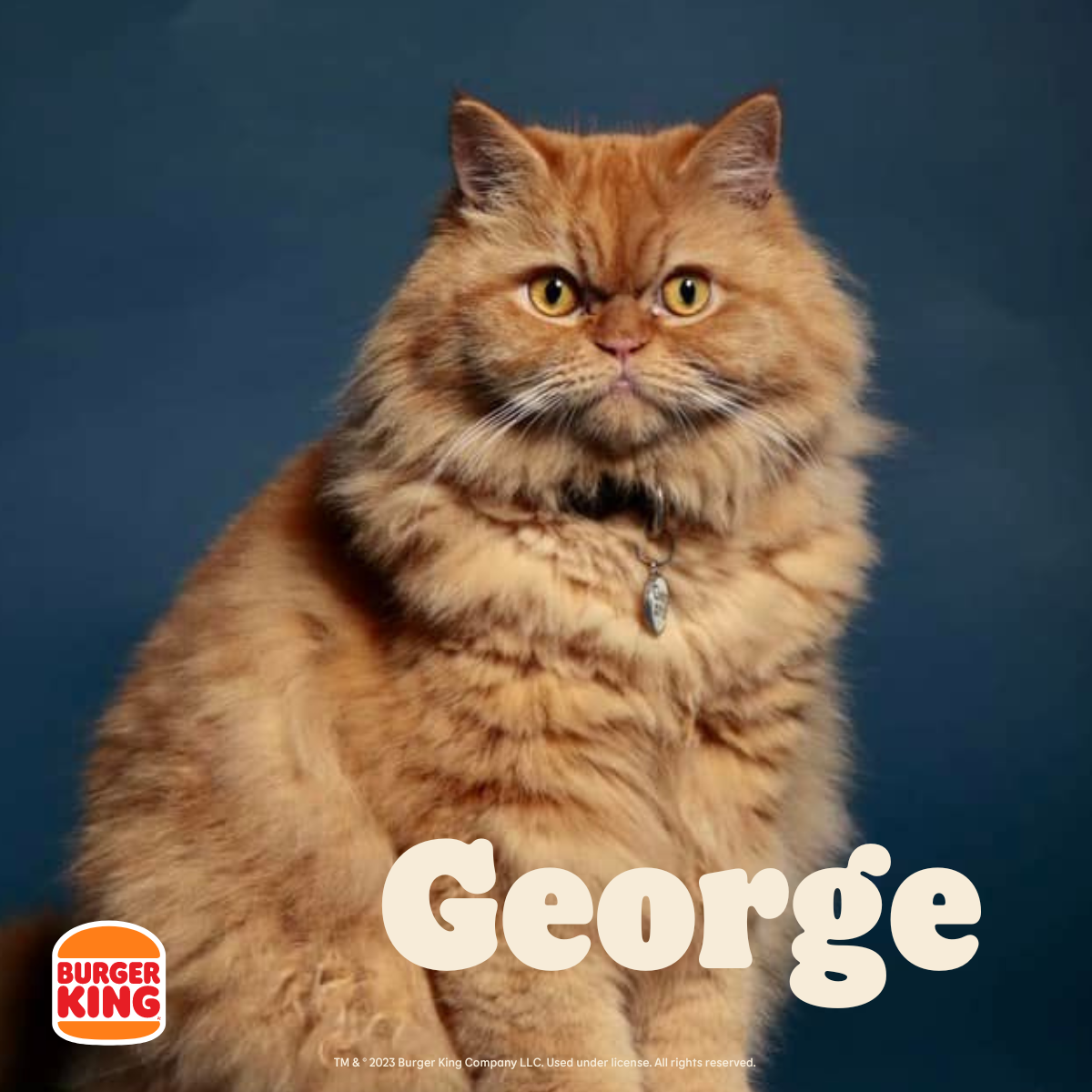 Regresa el Michi King a BK: una galleta y una mini corona para los ...